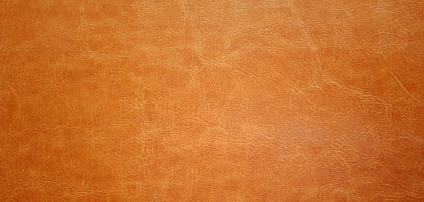 Leder, die besondere Haut › Stories › wohnendaily.at